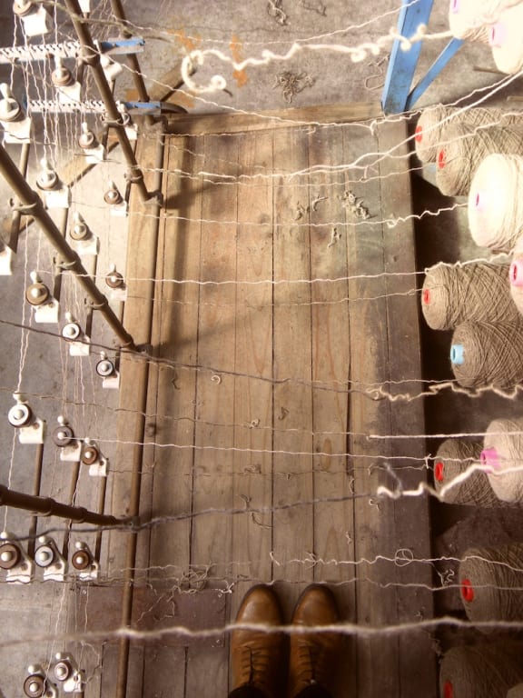 Wool Innovation | RNZ