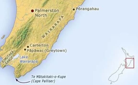 Iwi seeks direction on governance | RNZ News