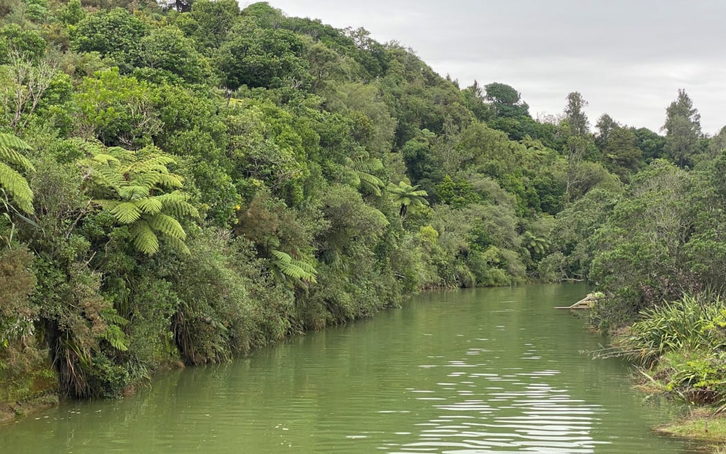 Iwi owner keen on co-management of beach reserve | RNZ News