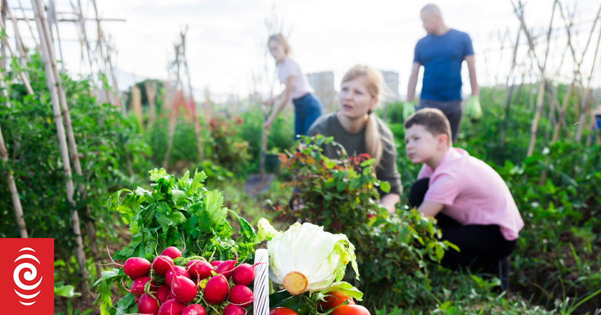 Christchurch 'climate action campus' a first-of-its-kind | RNZ News