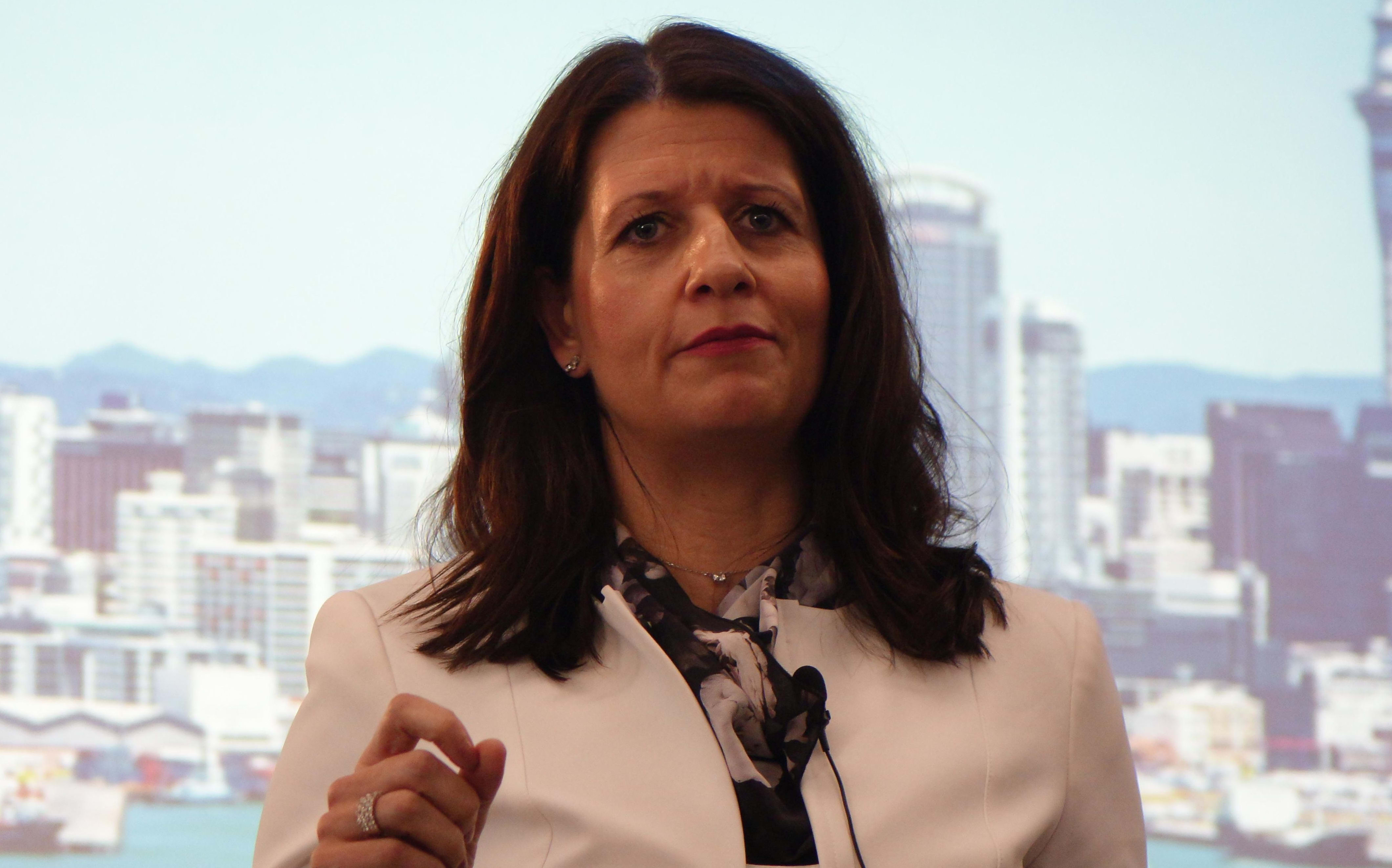 Crone targets unoccupied homes | RNZ News