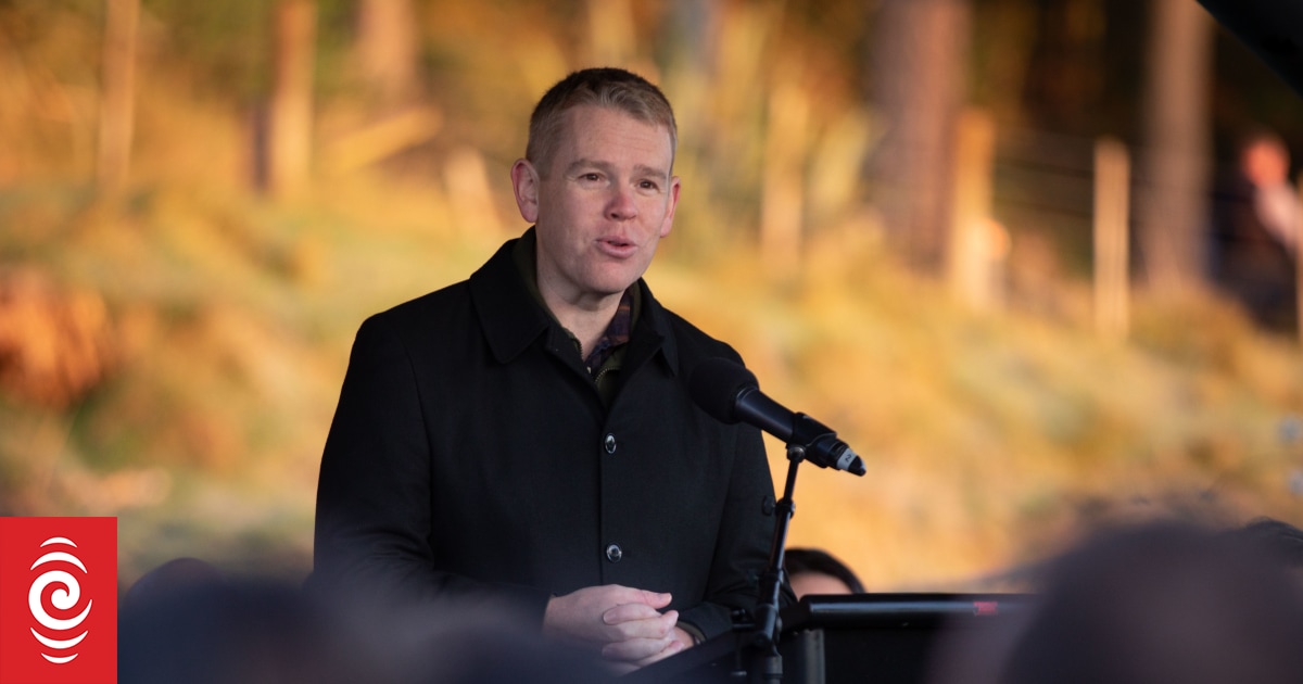 The Panel with Ali Mau and Scott Campbell (Part One) | RNZ