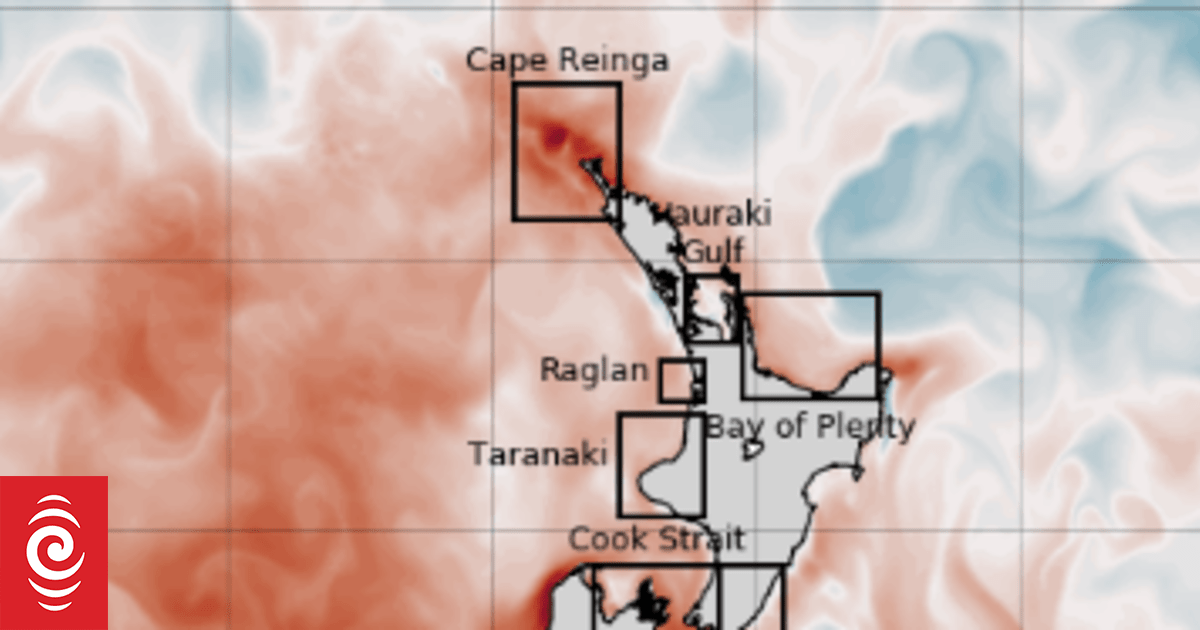 Whopping sea temps as severe marine heatwave hits | RNZ
