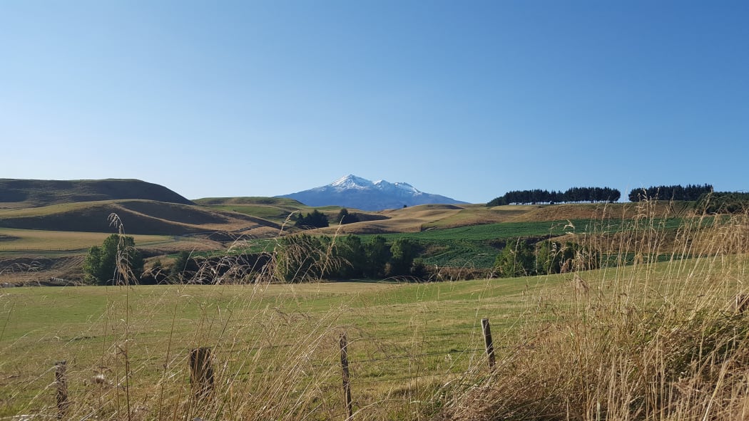 On the Farm: Our guide to what's happening in rural New Zealand | RNZ