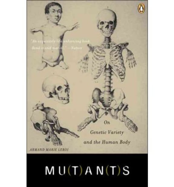 Armand Leroi | A Gallery from Nine To Noon | RNZ National