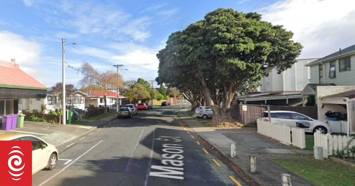 Lower Hutt police seeking travel details, CCTV footage in homicide ...