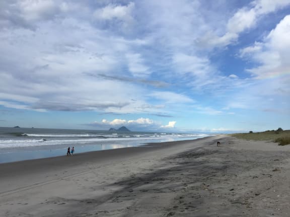 Just two households remain at Matatā, with one refusing to leave | RNZ News