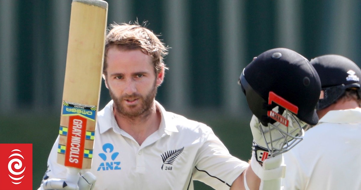 Williamson named Cricketer of the Year | RNZ News