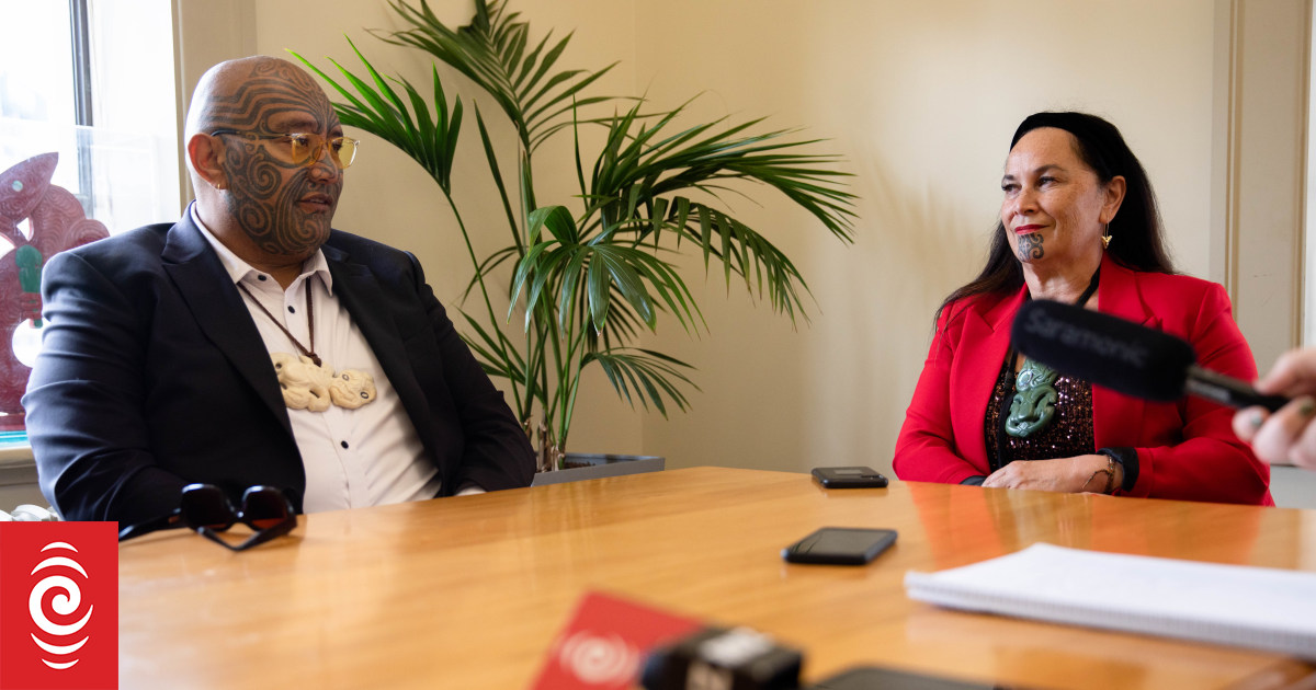 Te Pāti Māori looking ahead to 2023 | RNZ