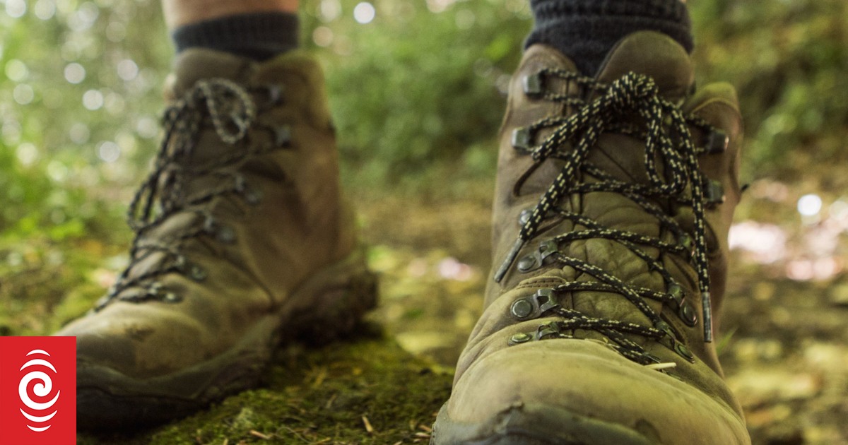 Missing hunter found | RNZ News