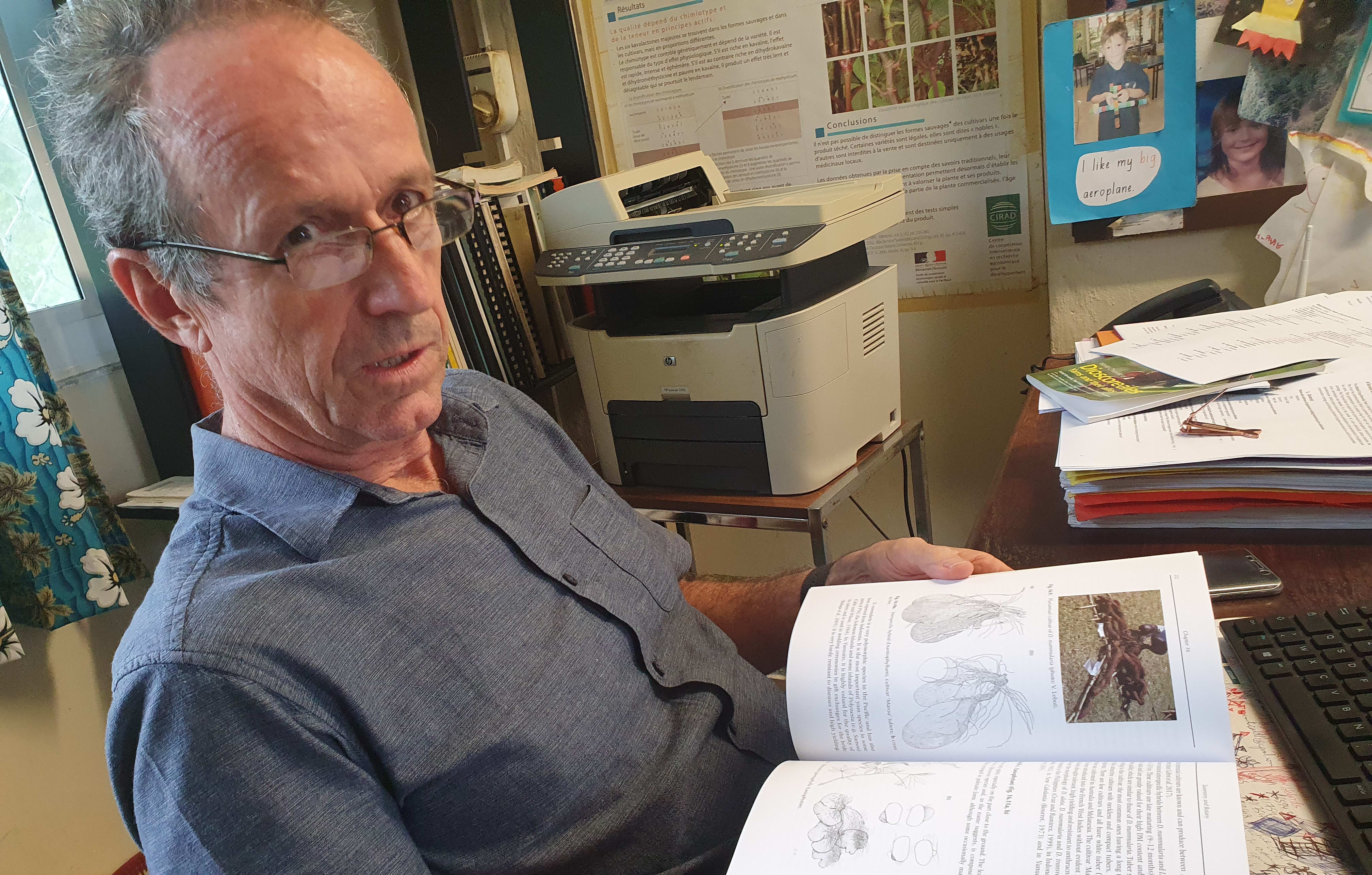 Covid-19 is an opportunity for Pacific to return to traditional foods ...