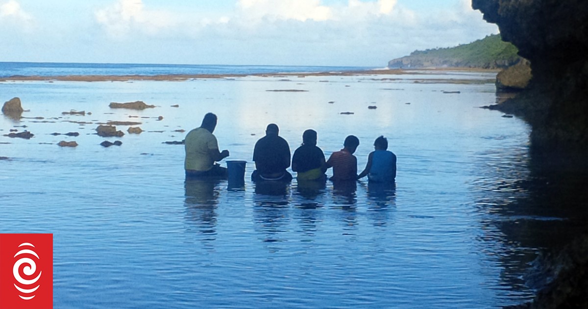 Niue police still probe protest | RNZ News