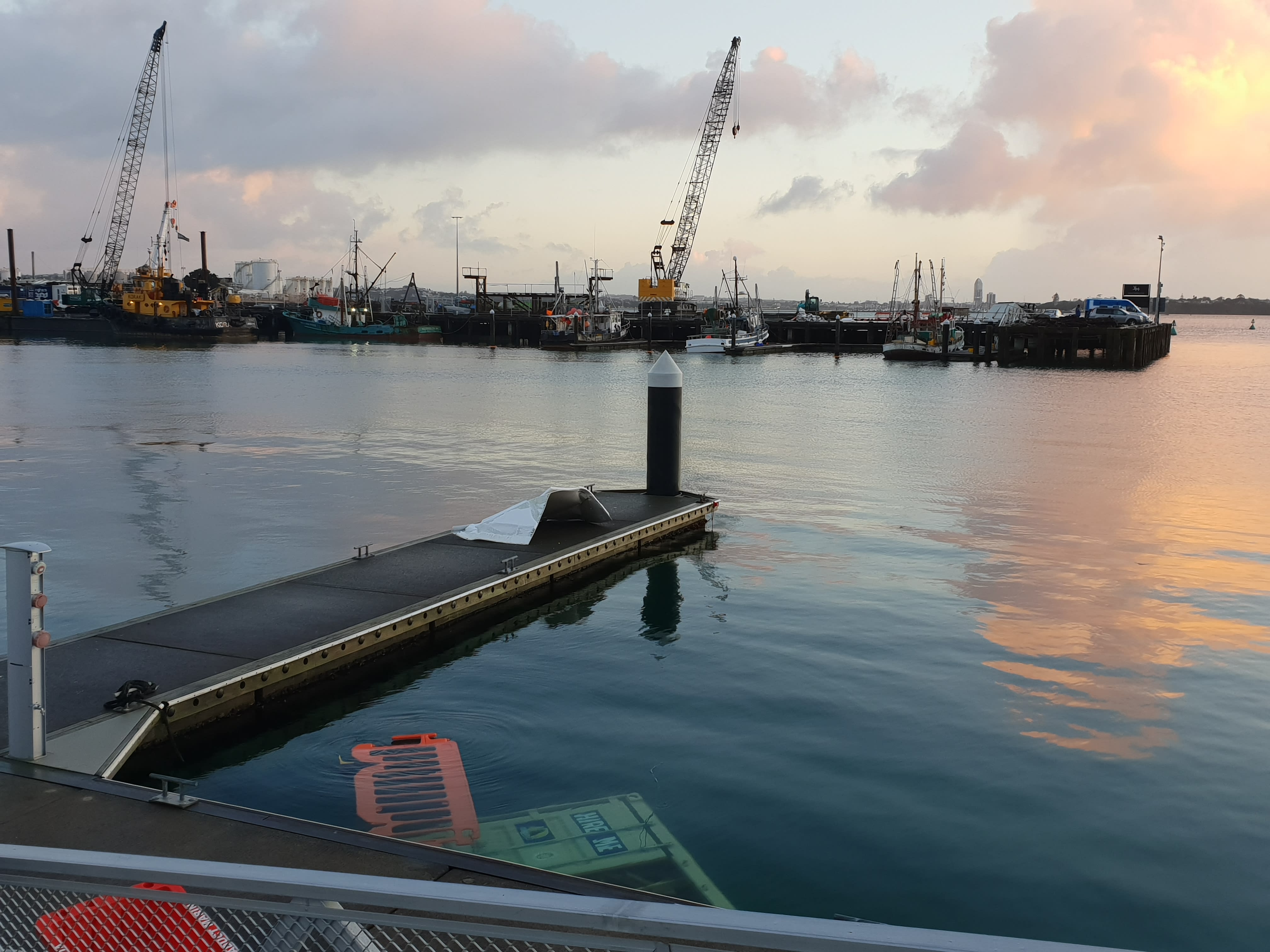 Auckland thunderstorm and strong wind | A Gallery from News | RNZ