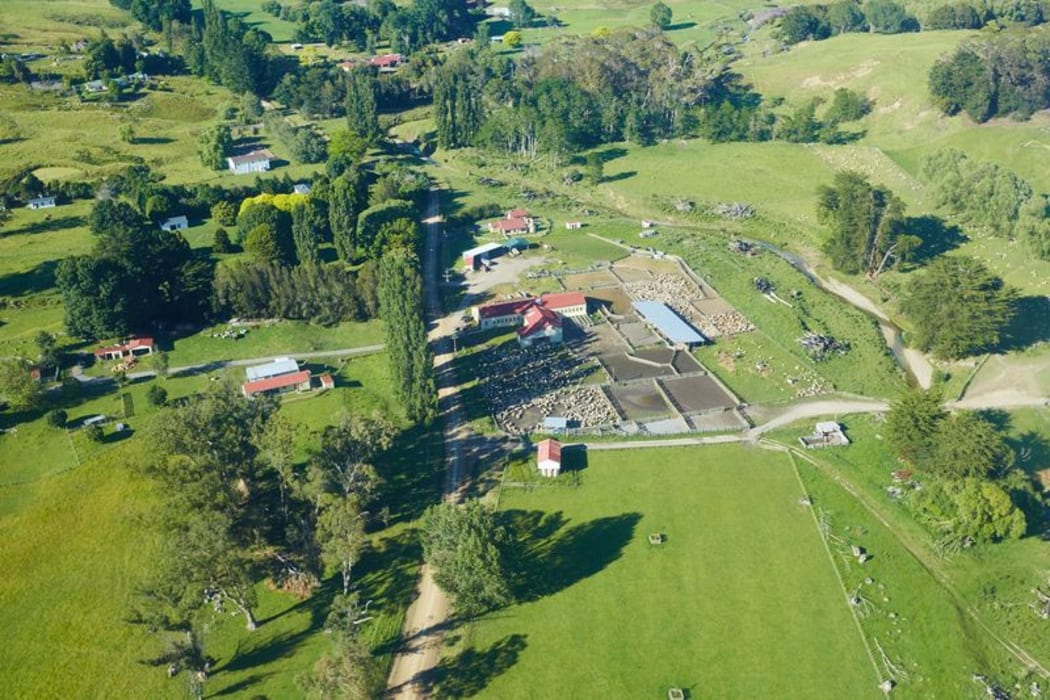 Mark Warren: From peasant farmer to present farmer | RNZ