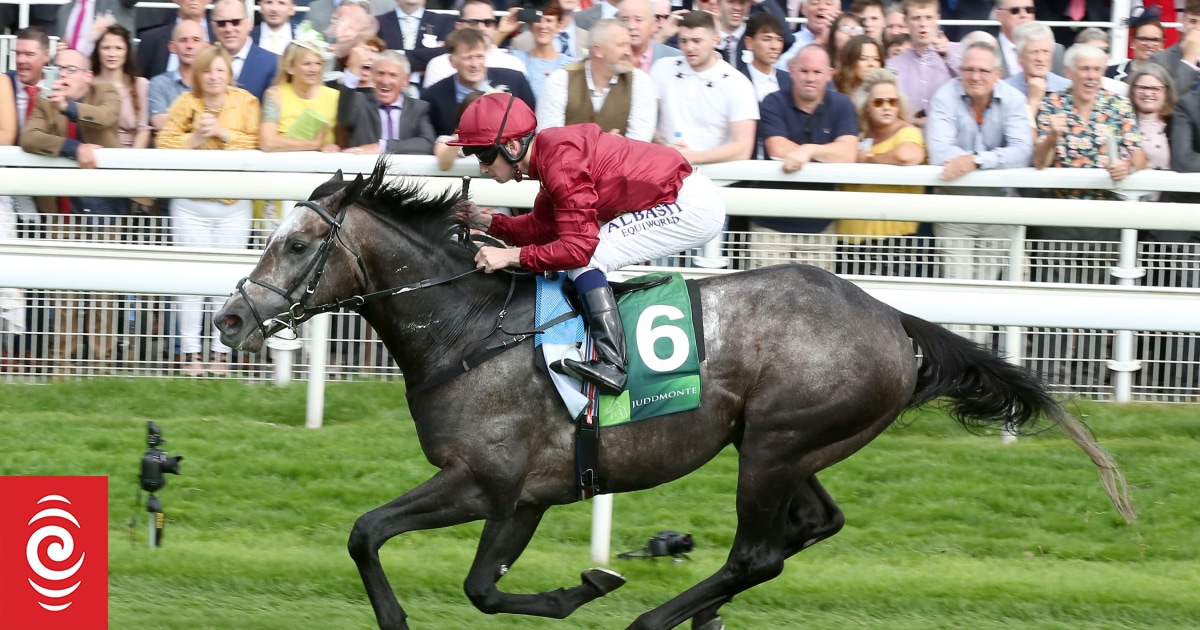 Death of champion racehorse 'a shattering blow' | RNZ News