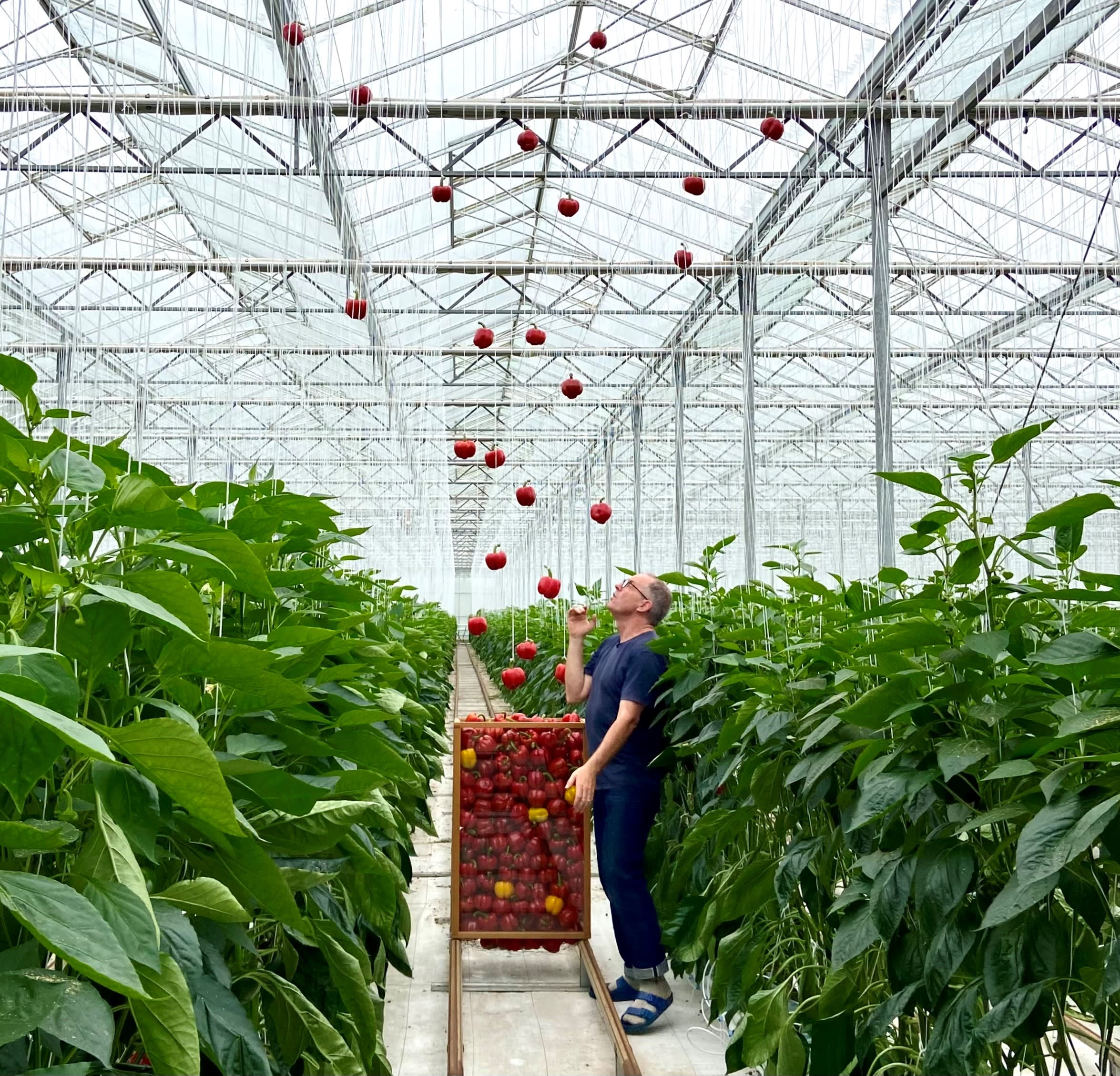 HomeGround | A Gallery from Nine To Noon | RNZ National