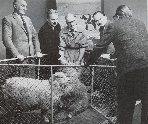 Country Calendar's Frank Torley dies | RNZ News