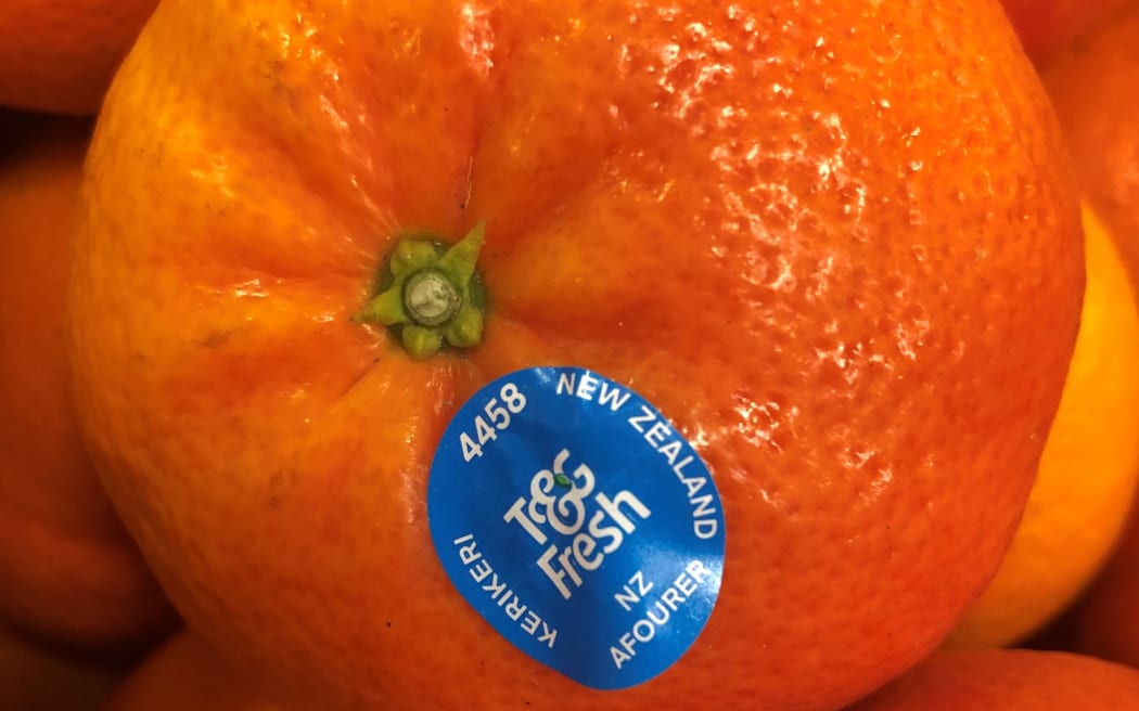 New season variety of mandarin launched | RNZ News