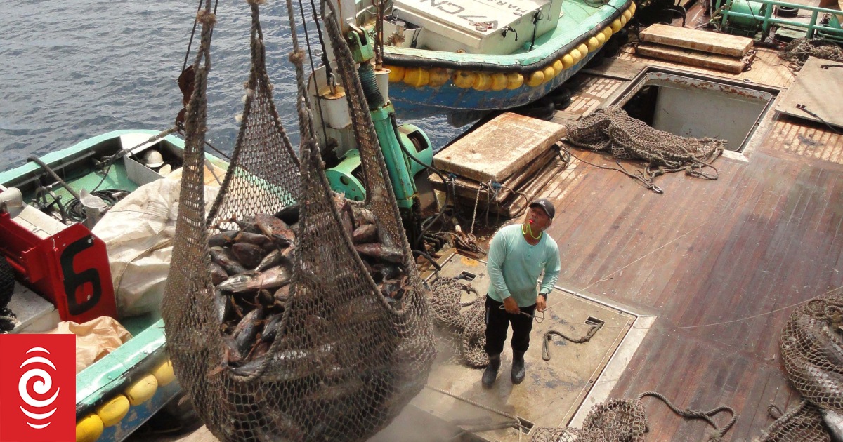 US purse seiners given nod to fish across Pacific region | RNZ News