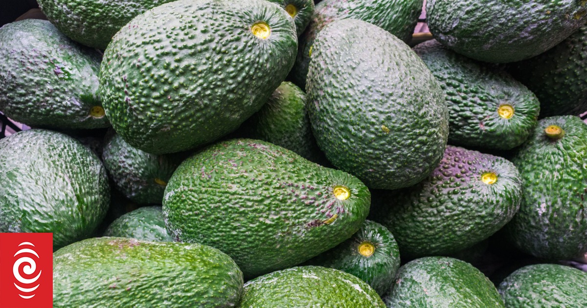 Avocado thief flees crime scene on mobility scooter | RNZ