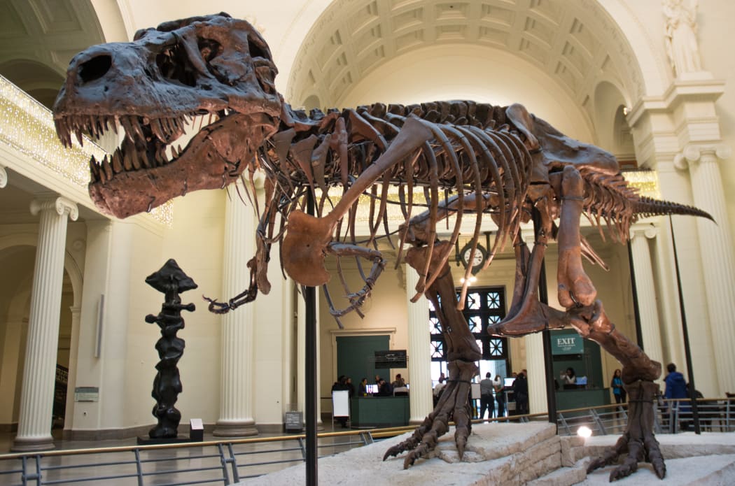 Smithsonian museum blames Sam Neill over T-rex skeleton lack | RNZ News