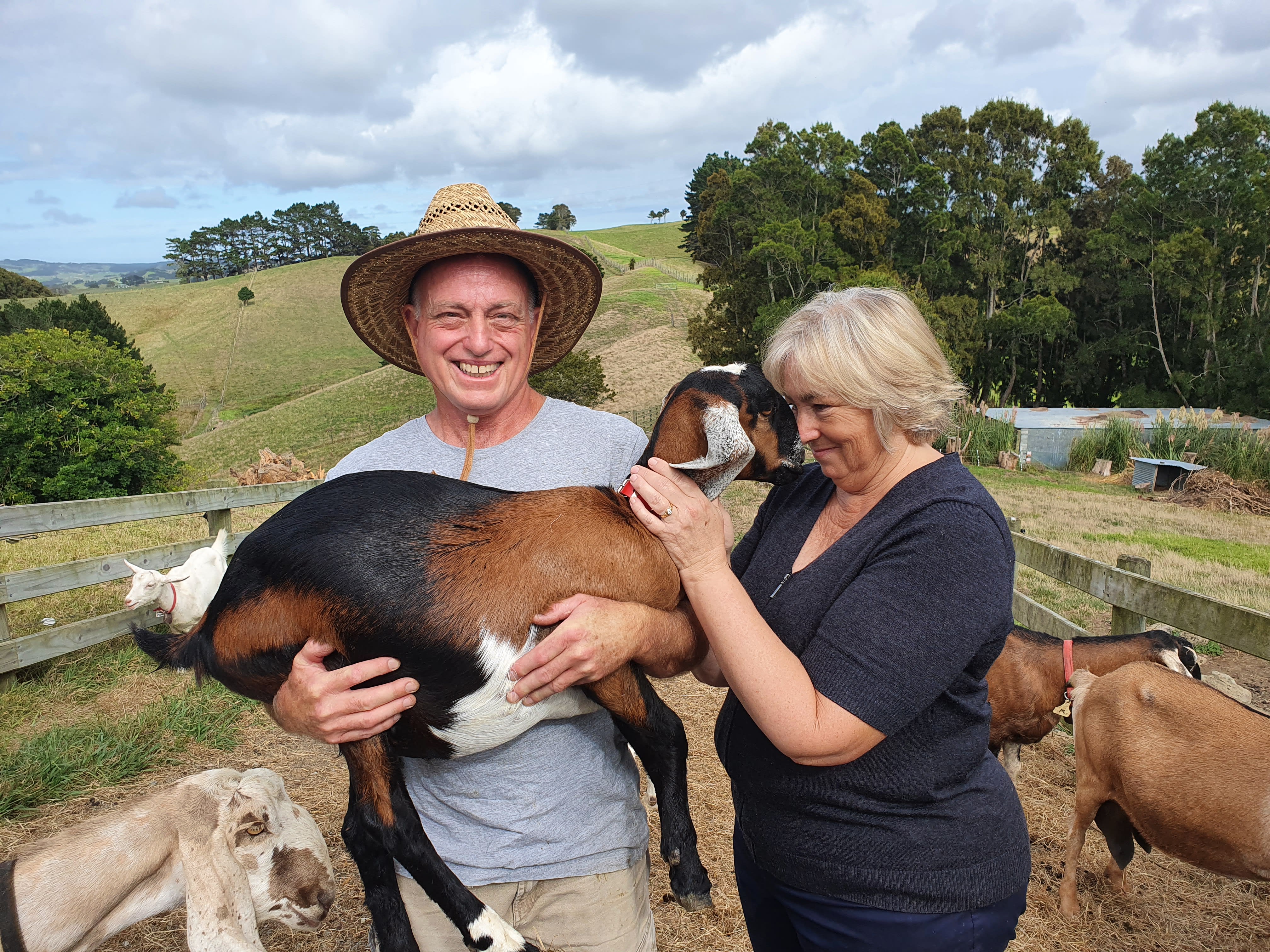 A selection of photographs by Carol Stiles | A Gallery from Country ...