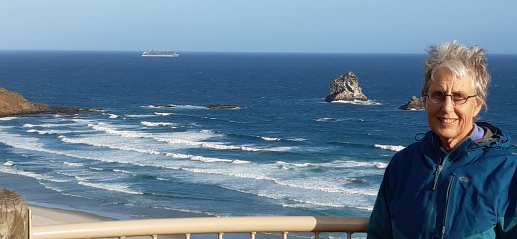 World Albatross Day: How NZ became the world's albatross capital | RNZ News