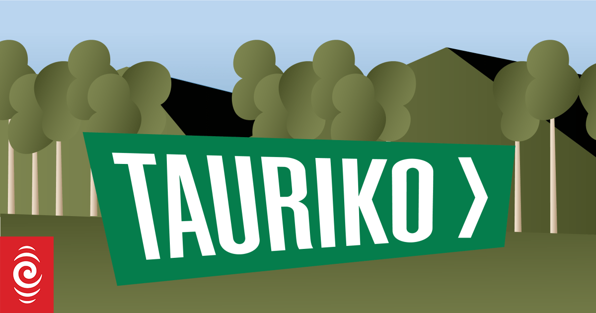 Nau Mai Town - Tauriko | RNZ