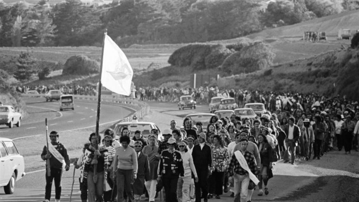 Original Ngā Tamatoa members to reunite 50 years after movement's founding | RNZ News