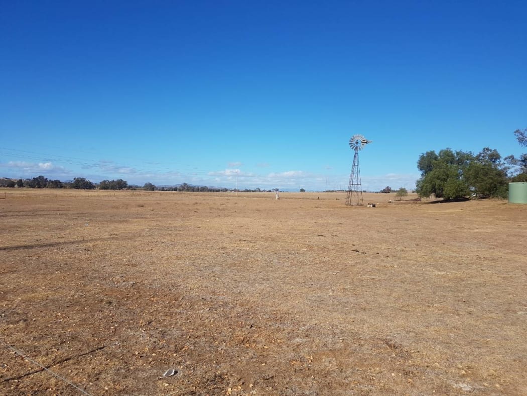 Australian Drought Bites | RNZ