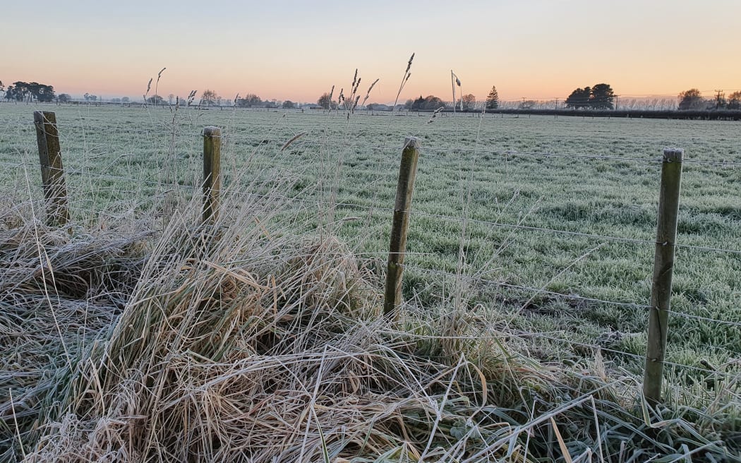 On the Farm - a wrap of farming conditions around NZ | RNZ