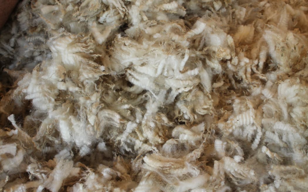 Kiwi entity working to change how overseas customers view wool | RNZ News