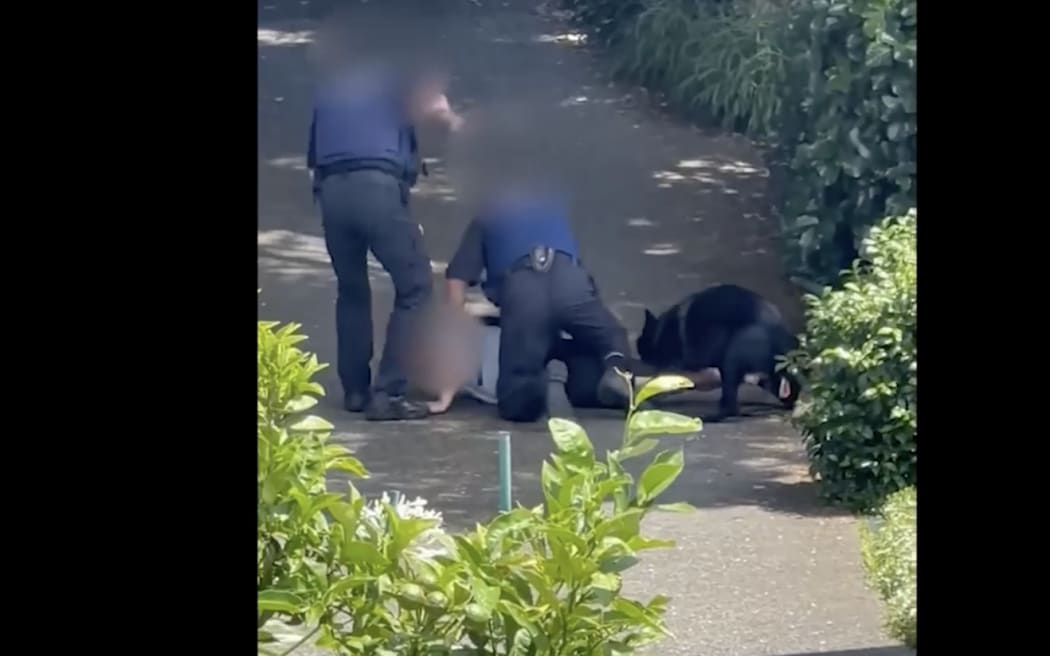 Enquiries underway after two police officers filmed making arrest | RNZ ...