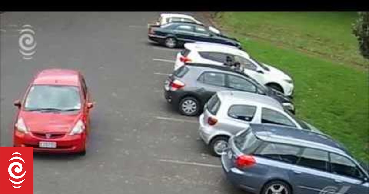 Assault victim's son speaks of horror attack | RNZ