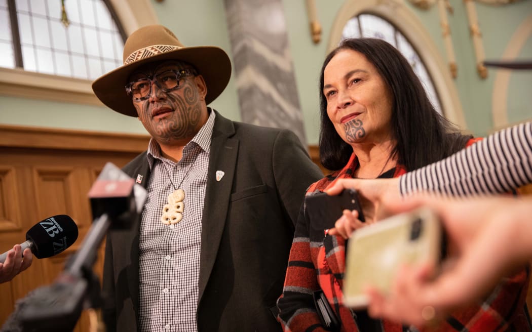 Māori Party backs calls for establishment of iwi-led bank to finance ...