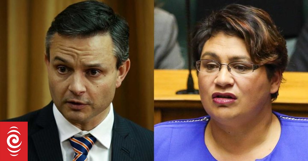 "This won't destroy the Greens" - Jeanette Fitzsimons | RNZ