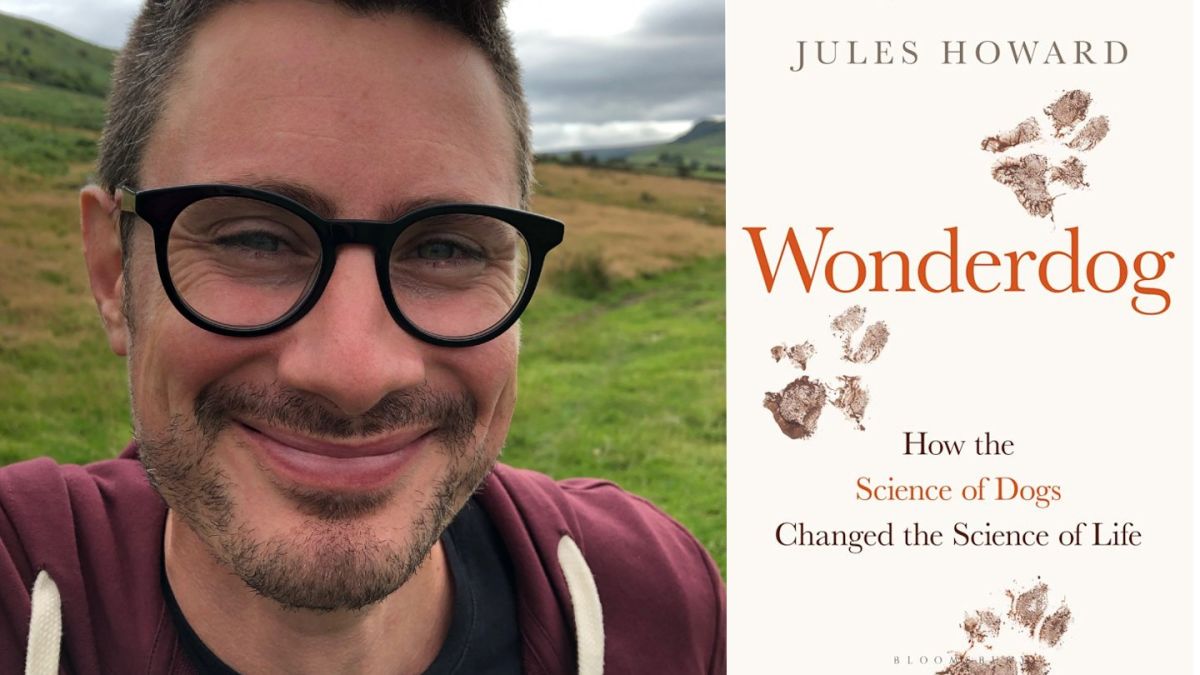Jules Howard: what do dogs really think of us? | RNZ