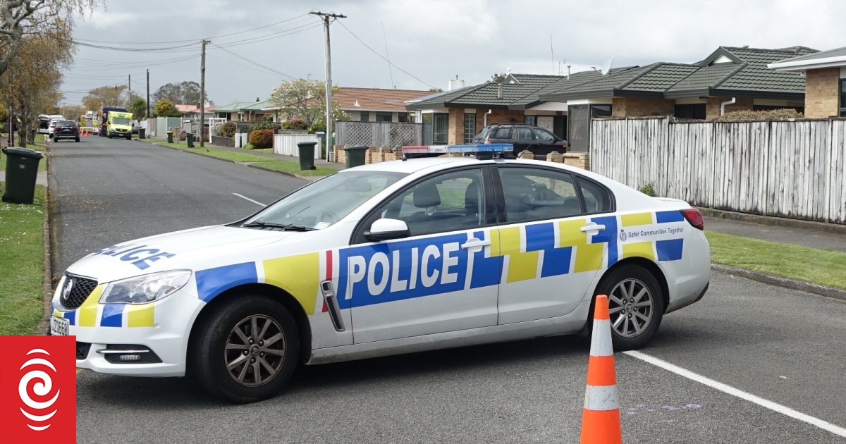Union 'disturbed' by trend of ramming police cars | RNZ News