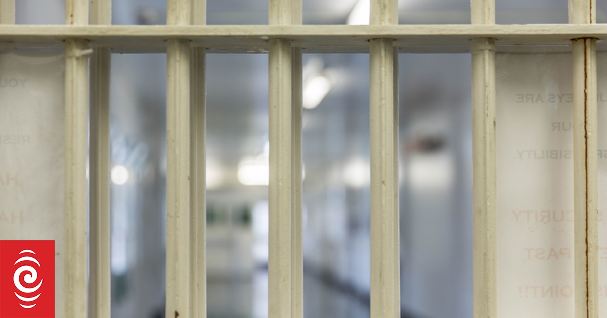 Safety upgrade for court holding cells four years after death | RNZ News