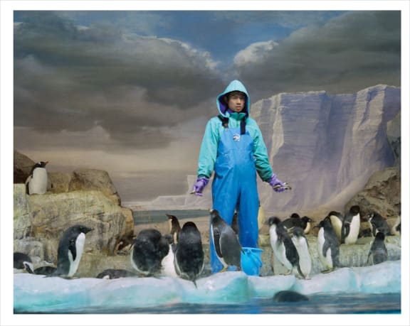Ice Blink | A Gallery from Arts on Sunday | RNZ National