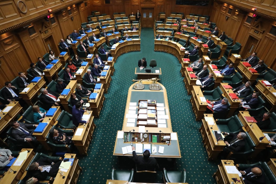 Committee stages at Parliament | RNZ