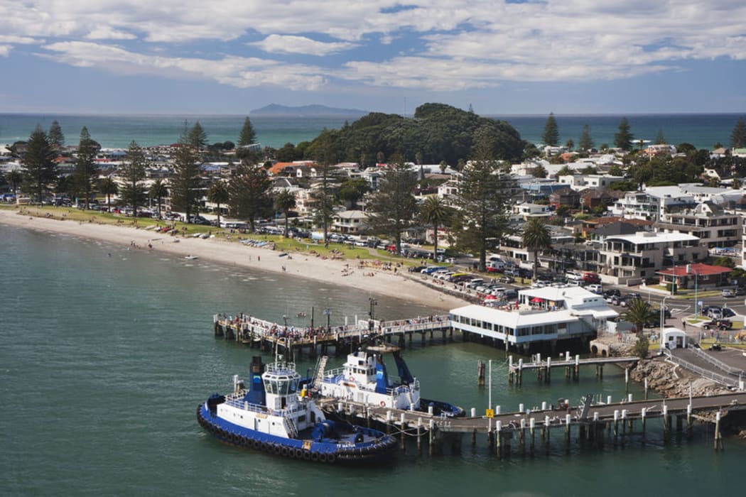 Great white shark sightings on the rise in Tauranga | RNZ News