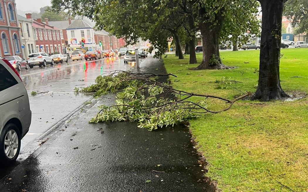 Possible tornado rips through Westland as severe weather affects much ...