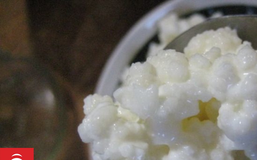 How to make kefir | RNZ