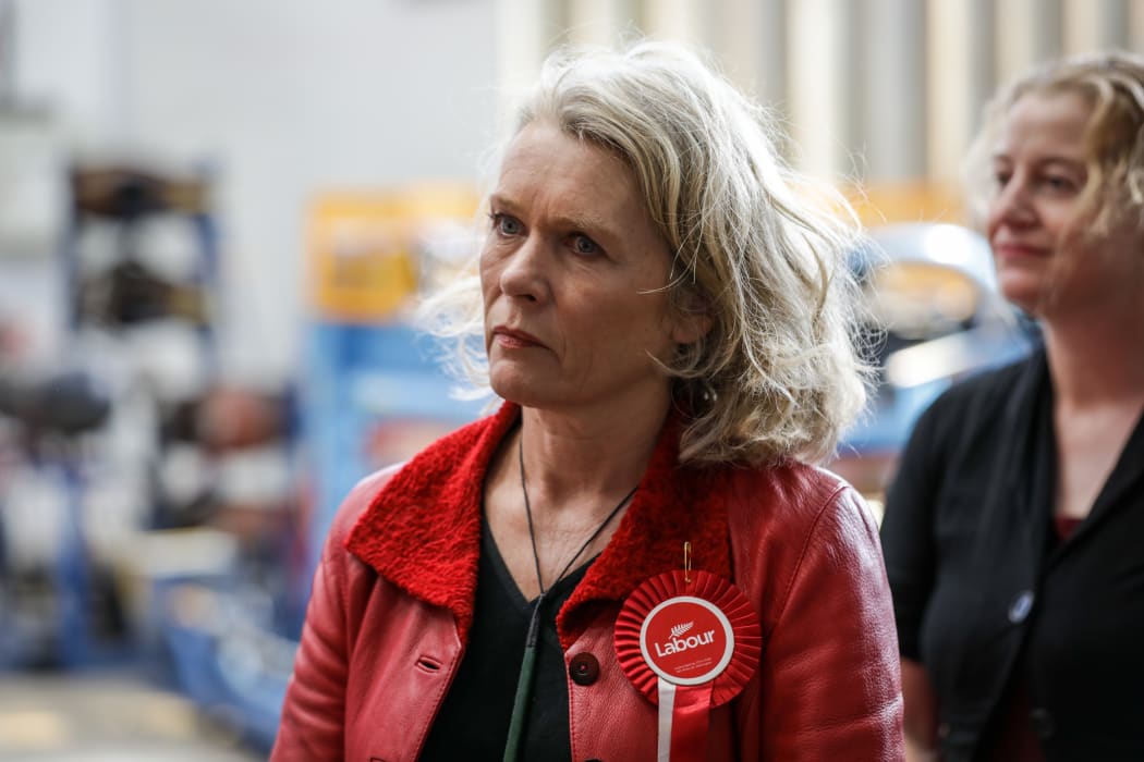 Labour's red tide sees its parliamentary diversity increase | RNZ News