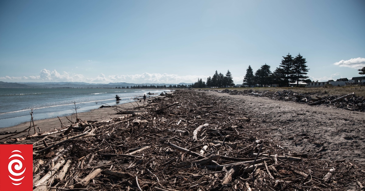 Changes to forestry slash rules to be decided | RNZ News