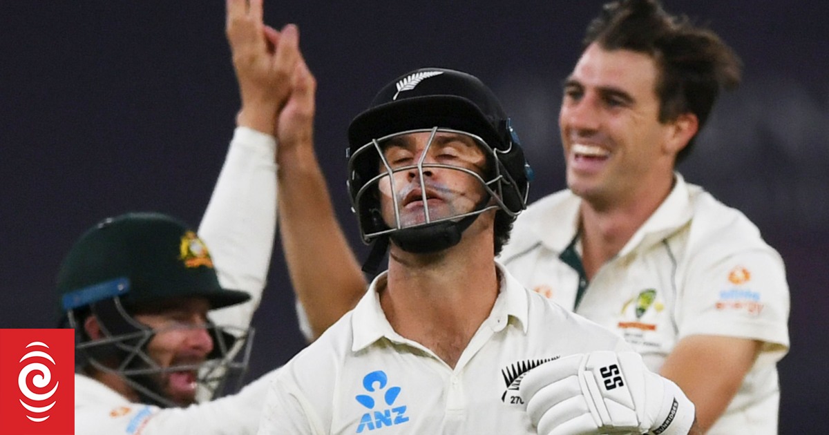 Brendan Telfer with the year's highlights and low points | RNZ