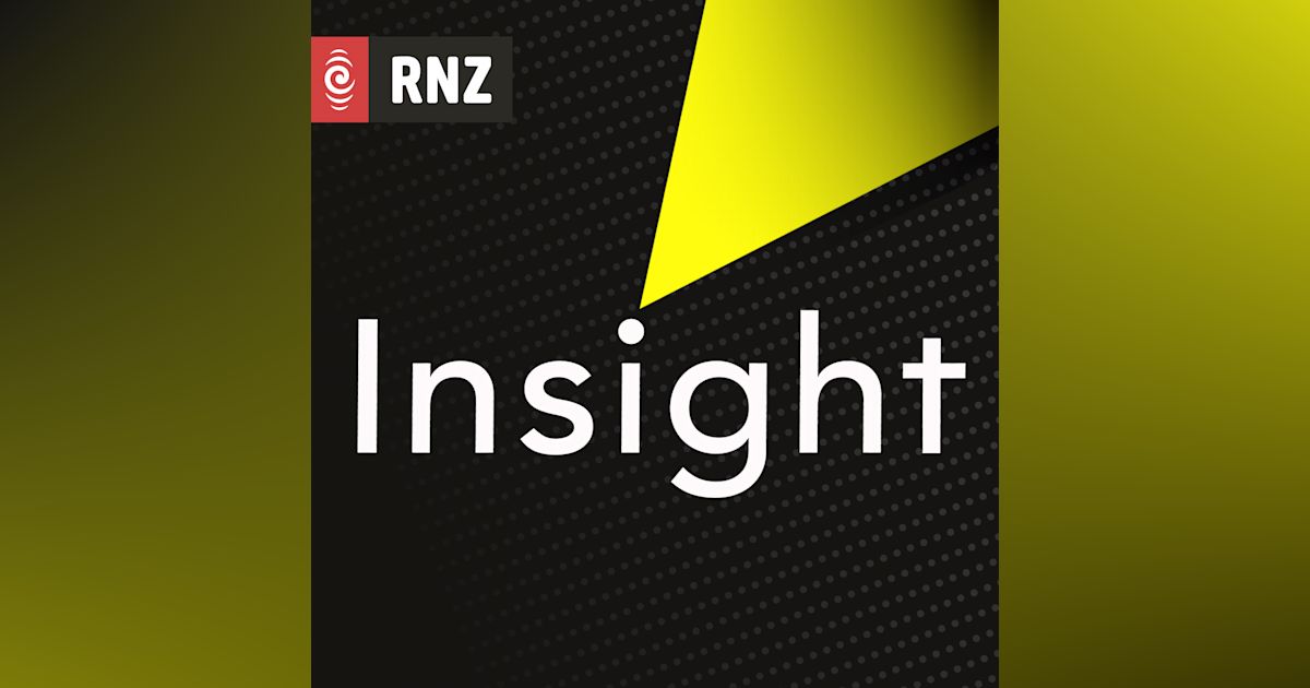Insight for Sunday 29 March 2015 Insight | RNZ