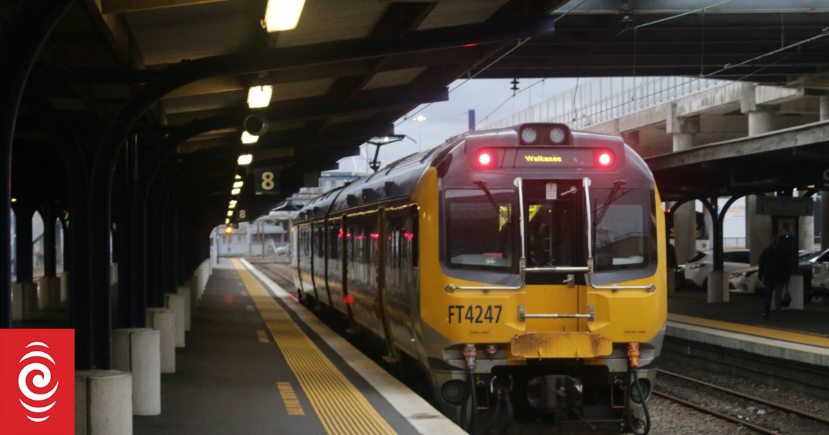Wellington train strikes landslip debris | RNZ News