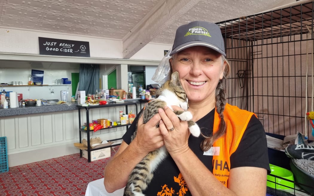 Hawke's Bay community turns out to walk displaced dogs: 'It was a ...